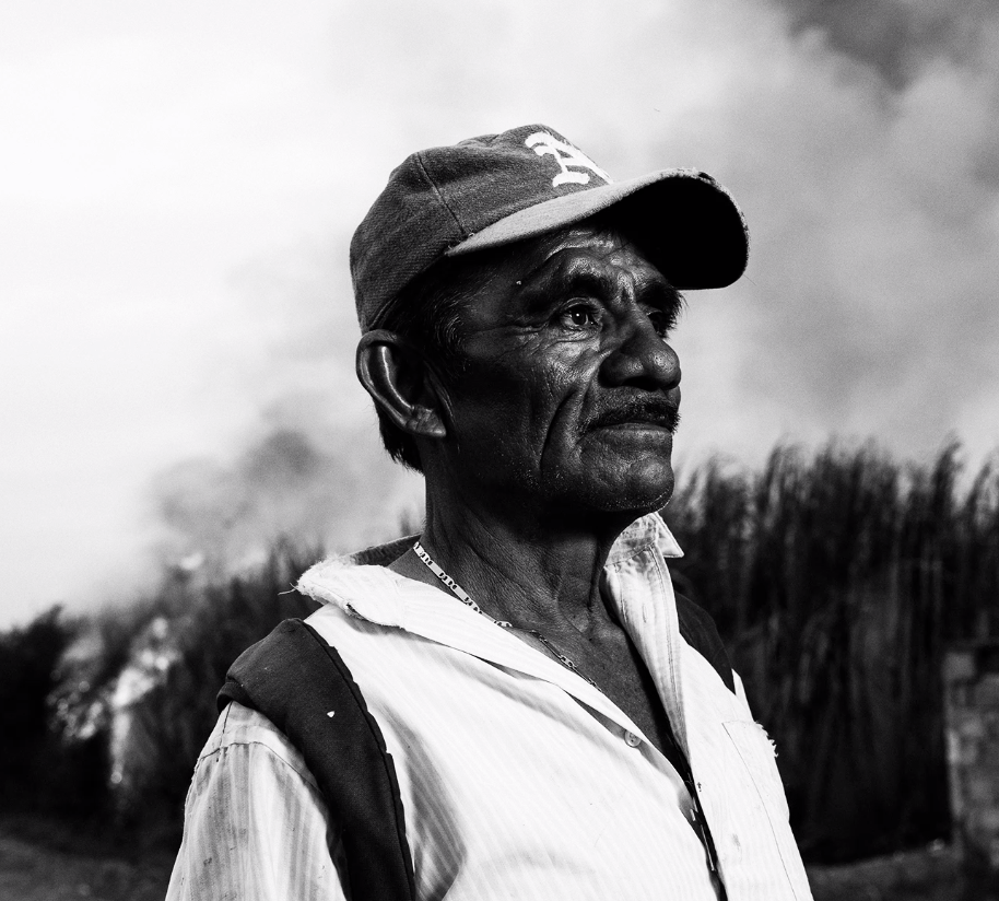 How Sugar brought Saul Flores to NFTs - The BlkChain